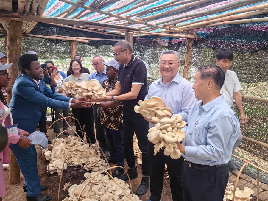 Mushroom Farming in Rwanda - A Sustainable Path to Prosperity ...